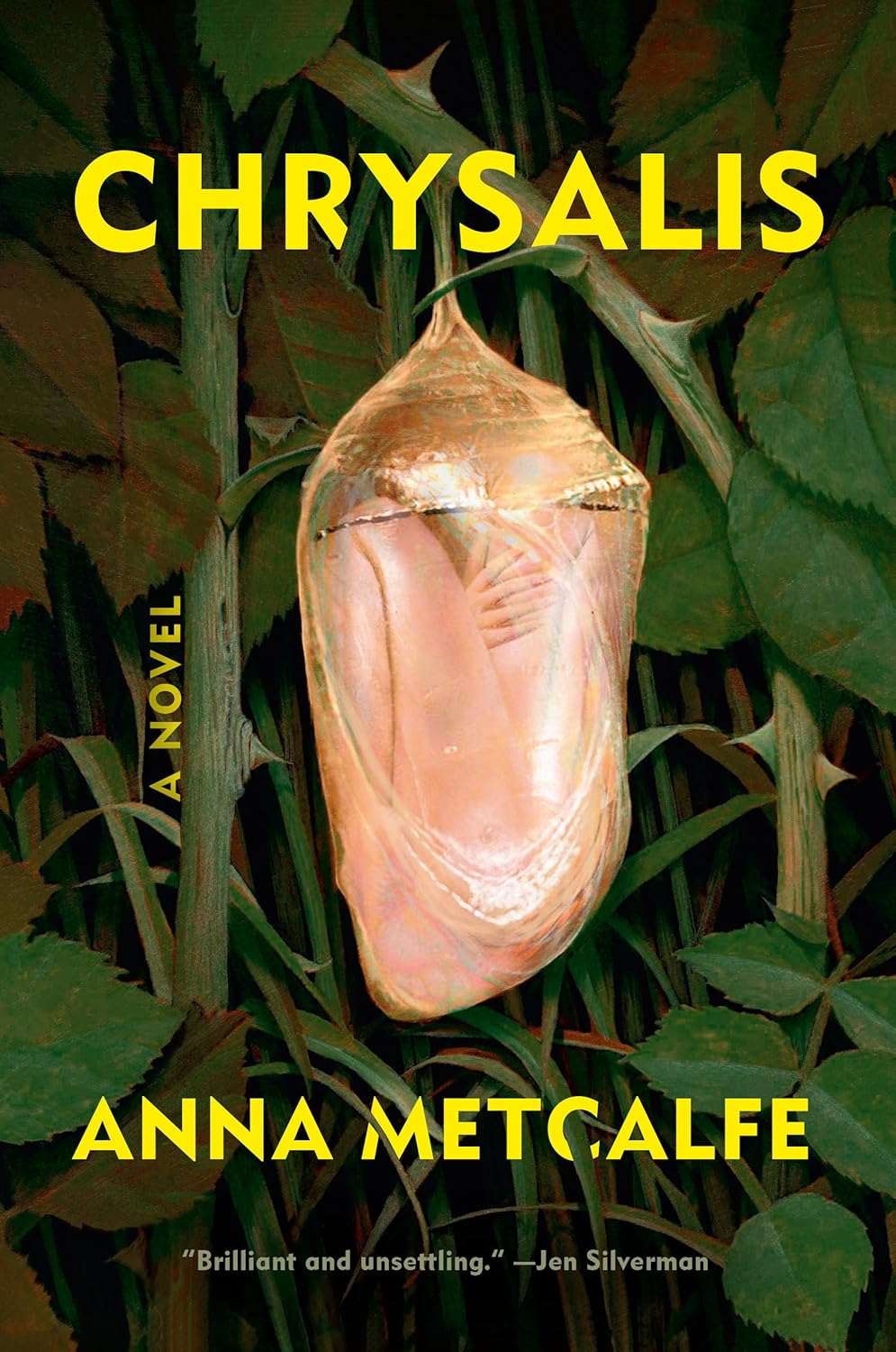 Amazon.com: Chrysalis: A Novel: 9780593446959: Metcalfe, Anna: Books