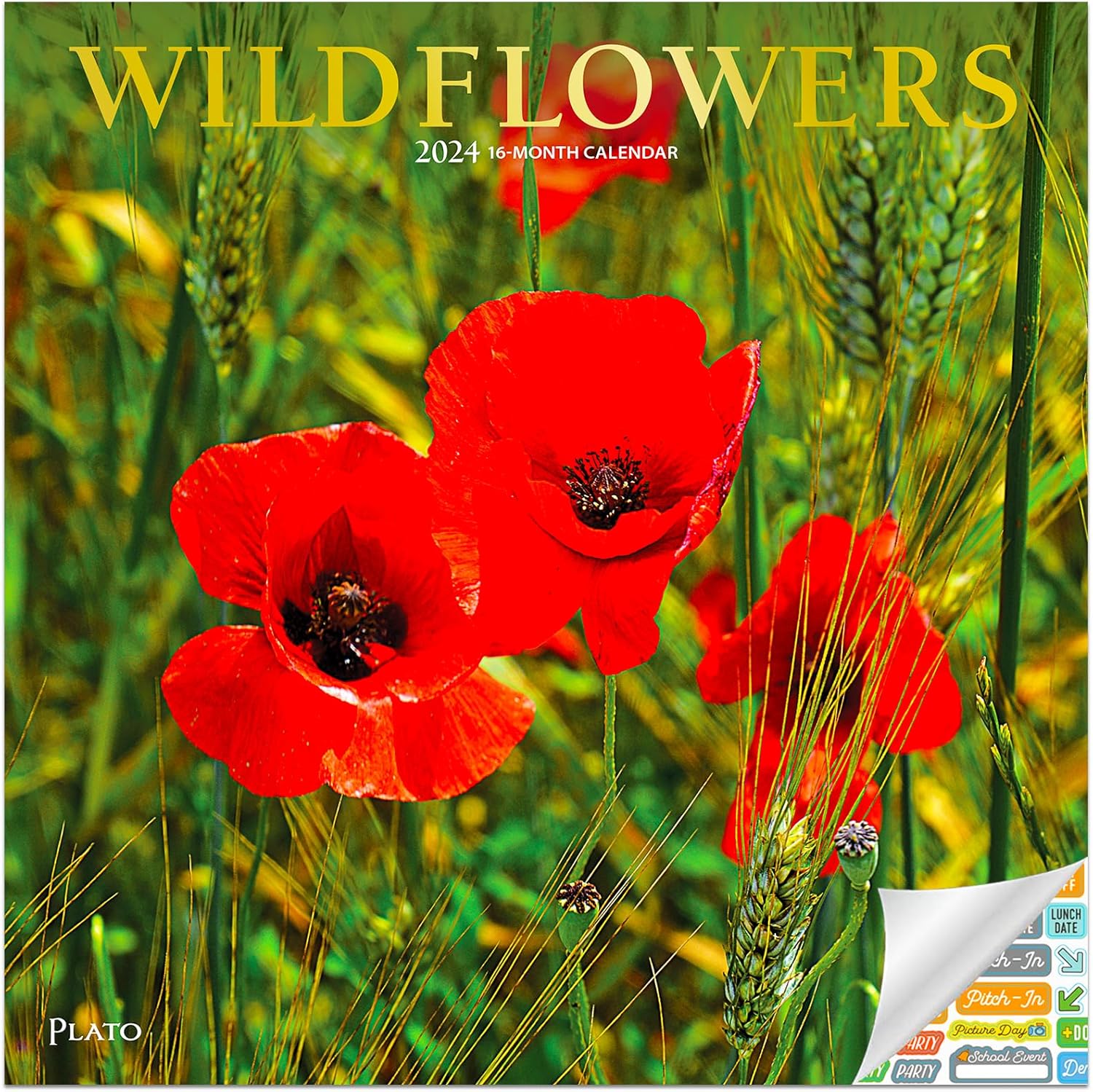 Amazon.com: Wildflowers Calendar 2024 - Deluxe 2024 Flowers Wall ...