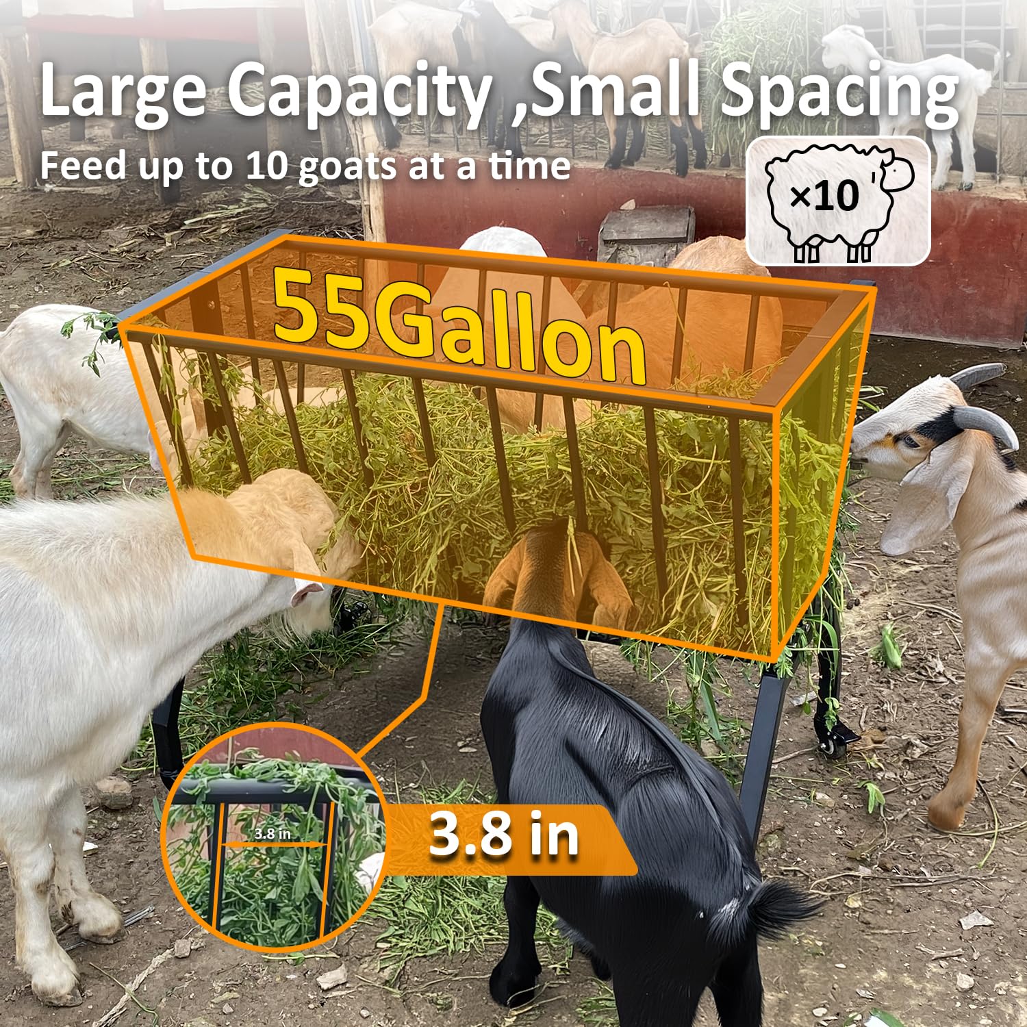 Pygmy Goat Hay Feeder