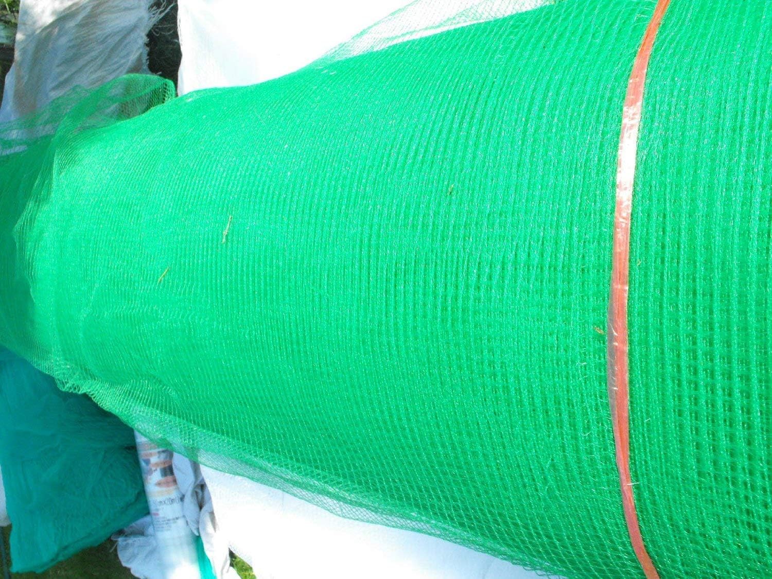 easynets Anti Butterfly Netting 2m Wide (2m x 5m) Free P&P : Amazon.co ...