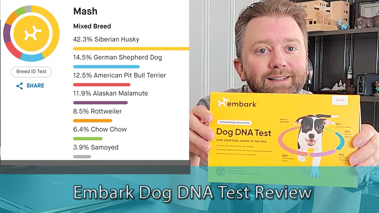 Watch Embark Dog DNA Test - Unboxing & Review on Amazon Live