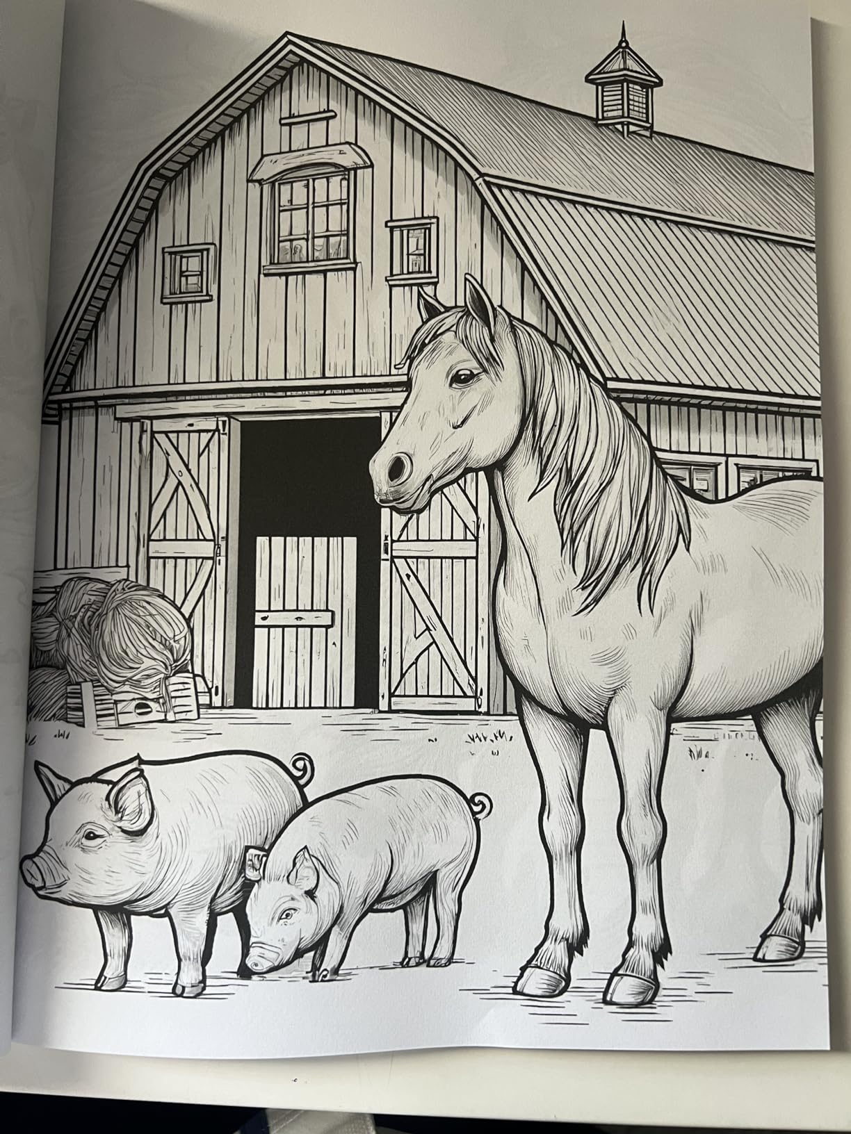 Amazon.com: Graceful Gallop: A Majestic Horse Coloring Book (Coloring ...