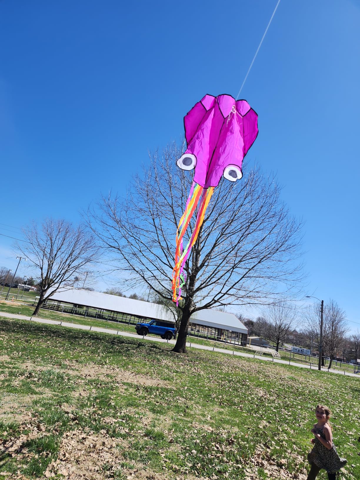 Amazon.com: 10 Pcs Large Octopus Kites, Long Tail Easy Flyer Kite Beach ...