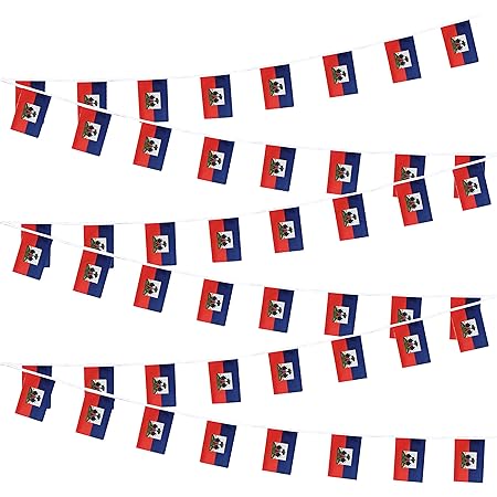 Amazon.com: Haiti Haitian Small Mini Desk Flag Set Miniature Haiti ...