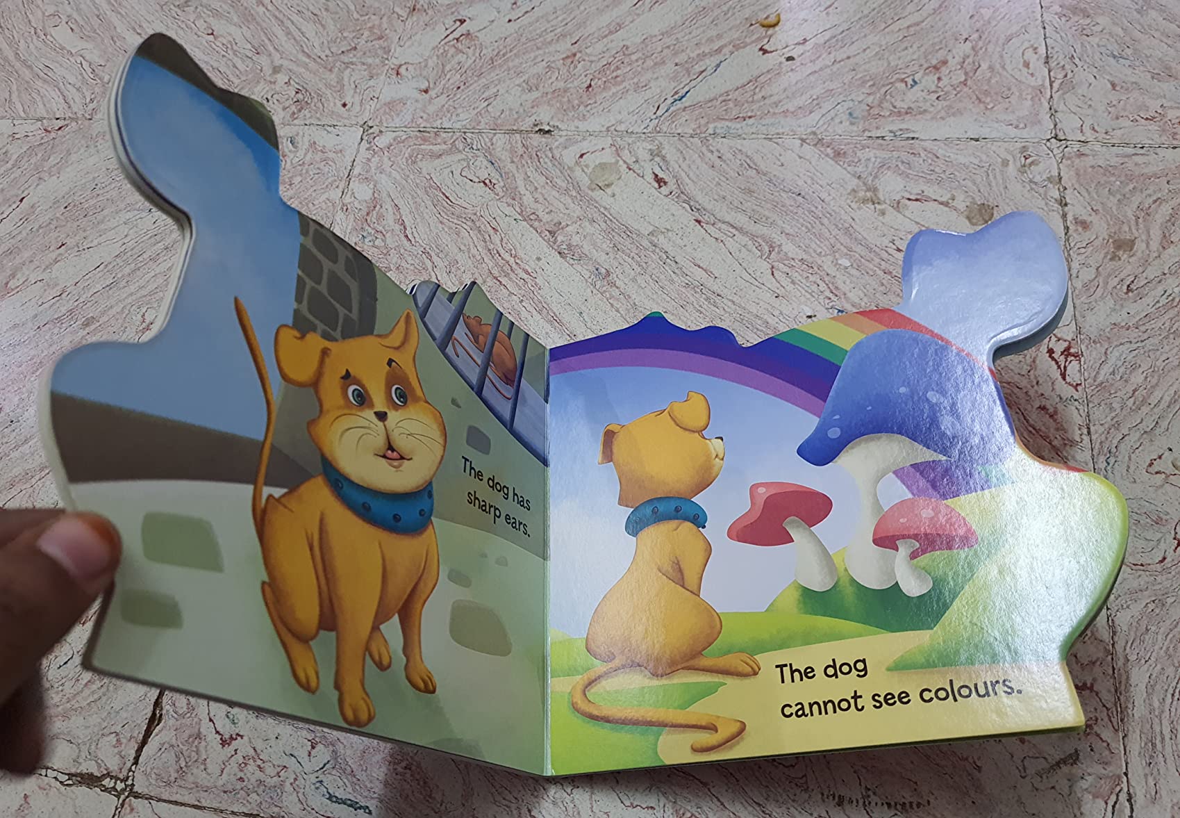 Board Book : Dog ( Animals and Birds ) - Cutout Board Books : Om Books ...