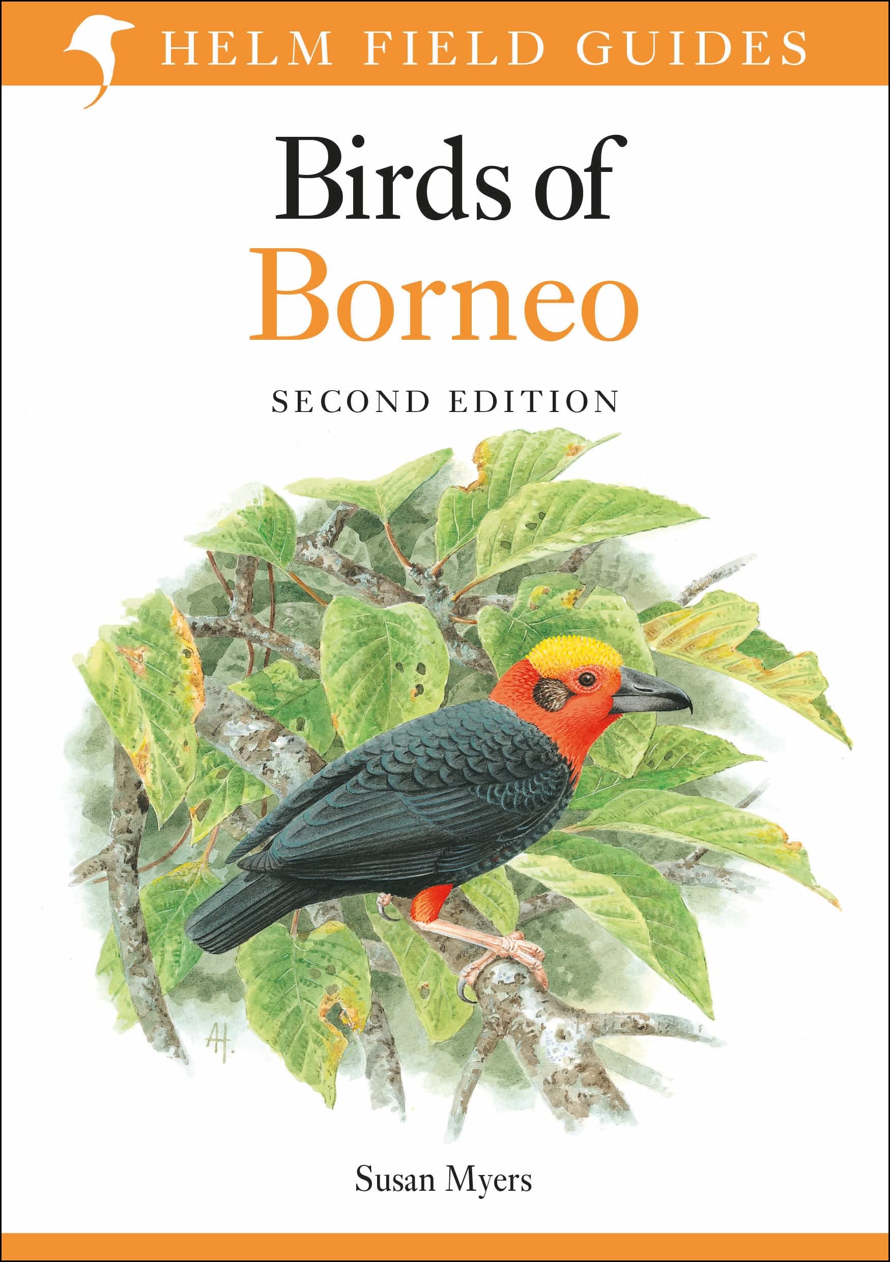 Field Guide to the Birds of Borneo (Helm Field Guides) : Myers, Susan: Amazon.de: Bücher