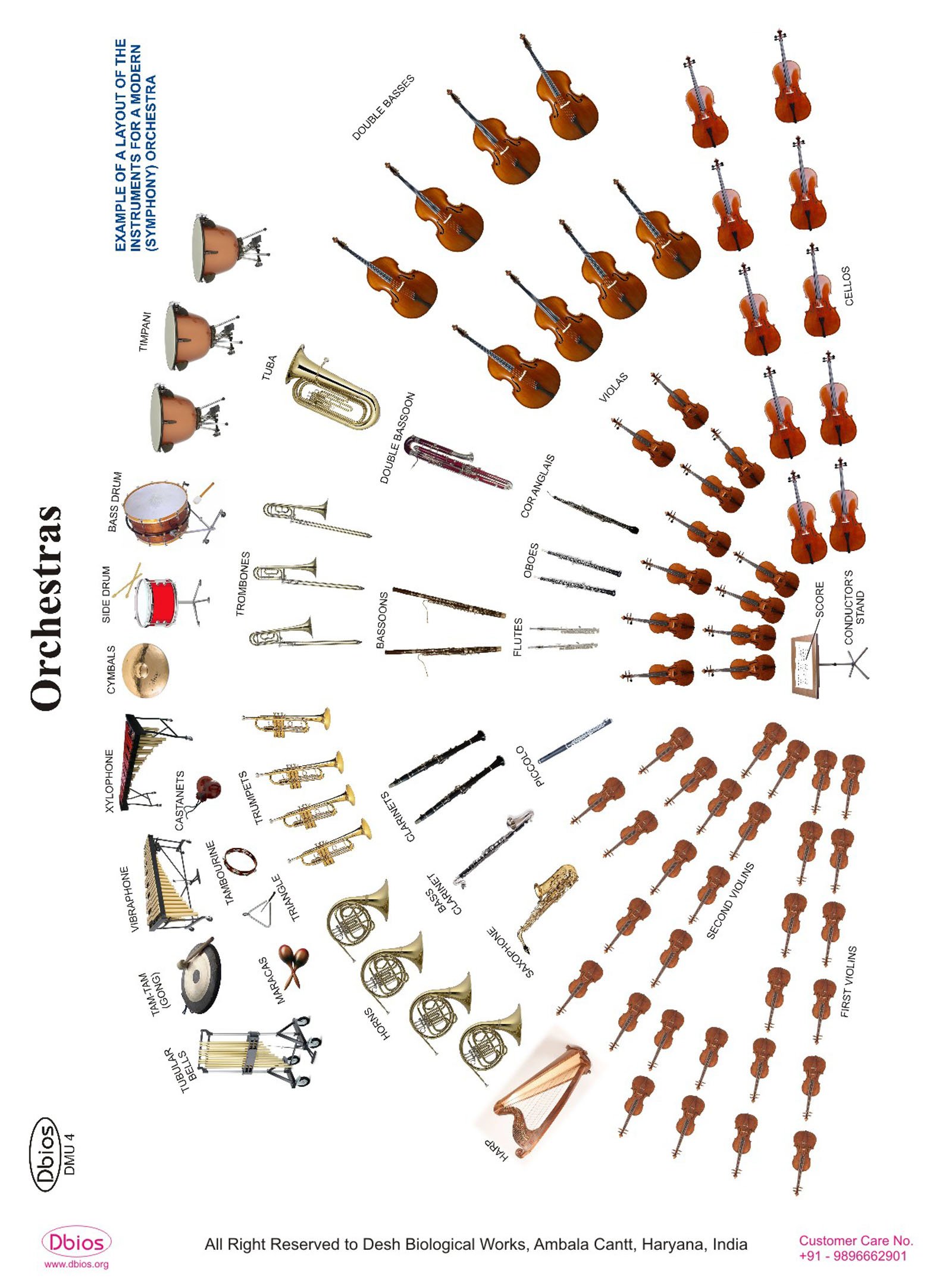 Buy Dbios Digitally Printed Musical Instrument Orchestras Laminated ...