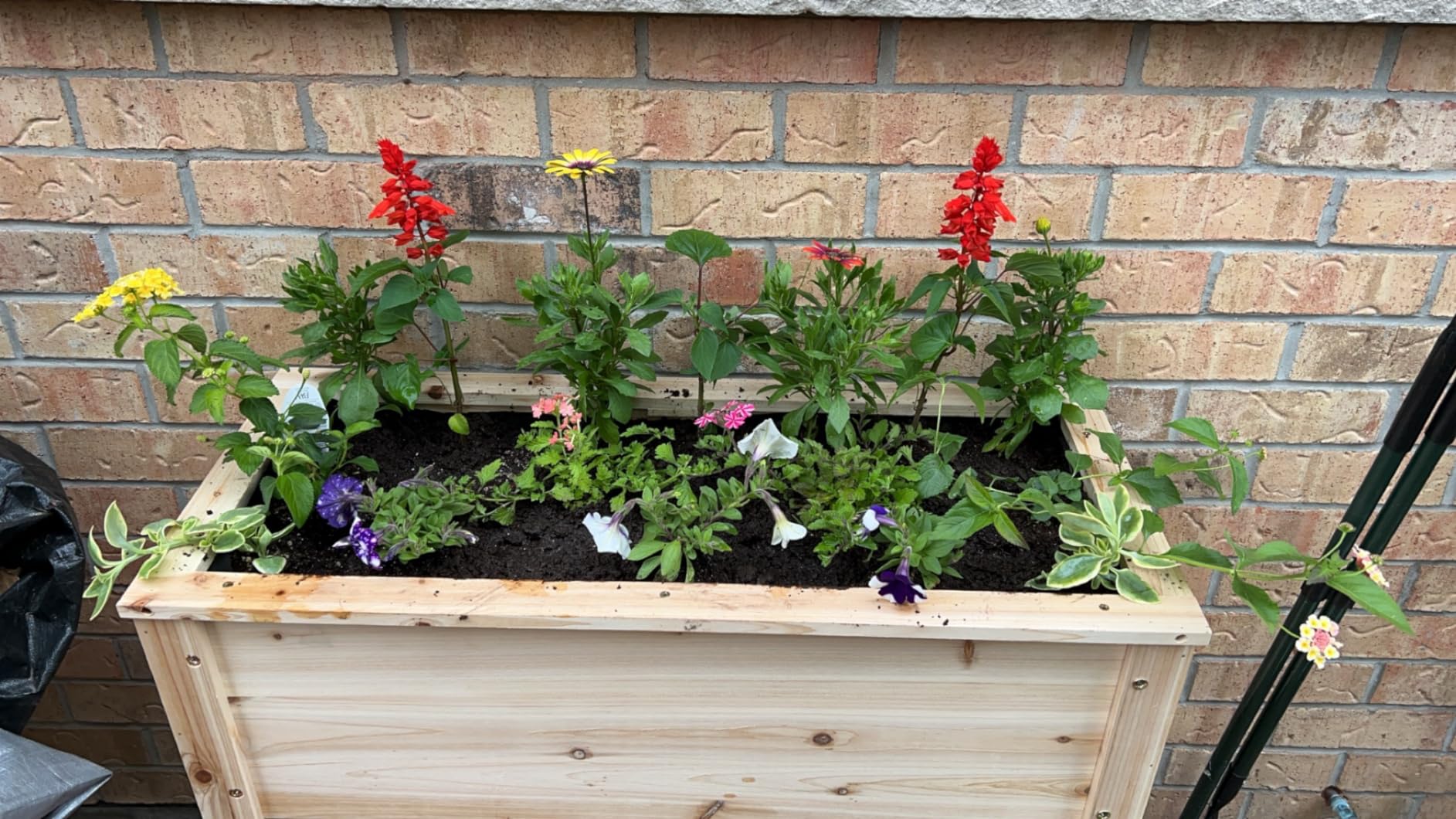 Outsunny Wooden Raised Garden Bed Standing Elevated Planter Box with ...