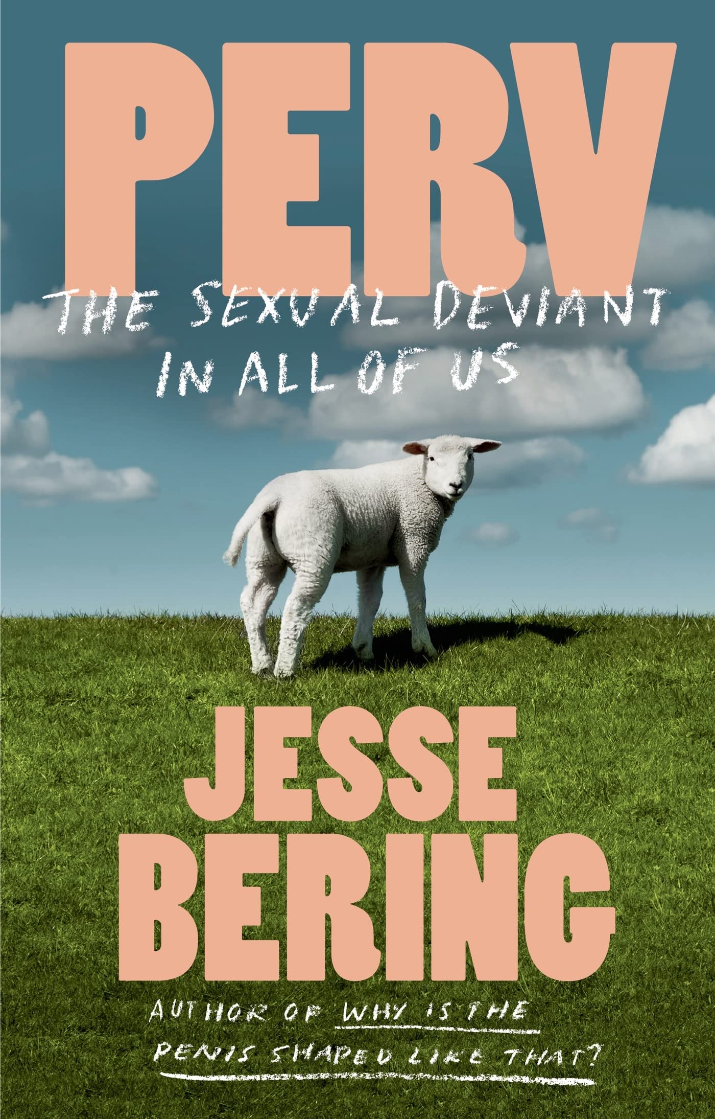 Perv: The Sexual Deviant in All of Us: Bering, Jesse: 9780374230890 ...