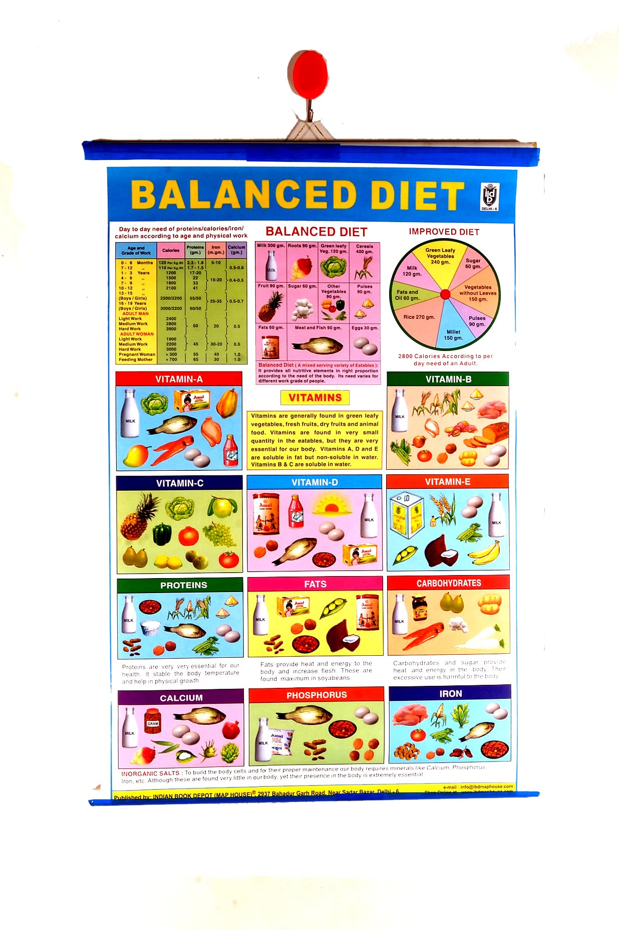 Anagha Balance Diet Laminated Chart For Students Study And Classroom | Desertcart Japan