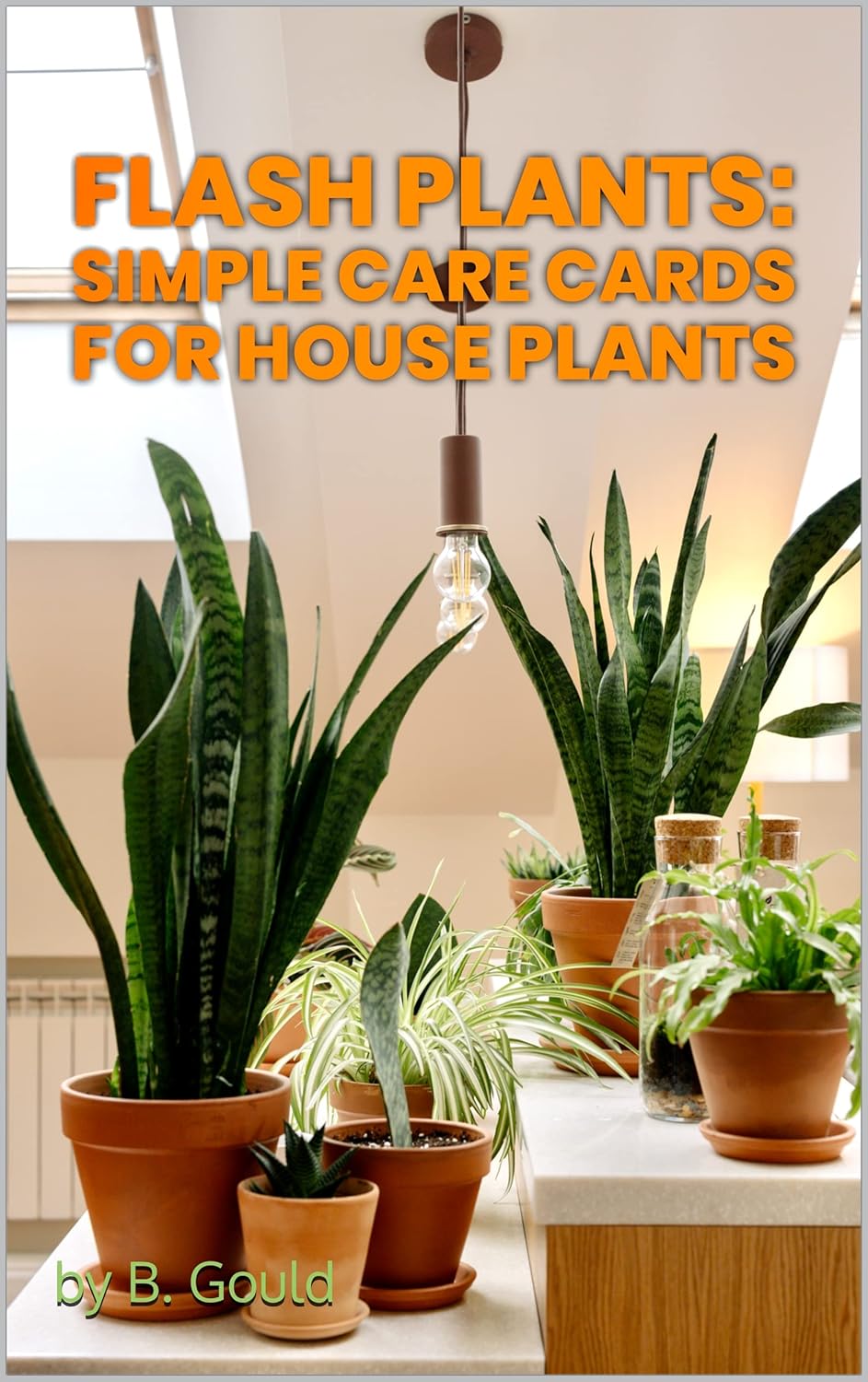 Flash Plants : Simple Care Cards for House Plants - Kindle edition by ...