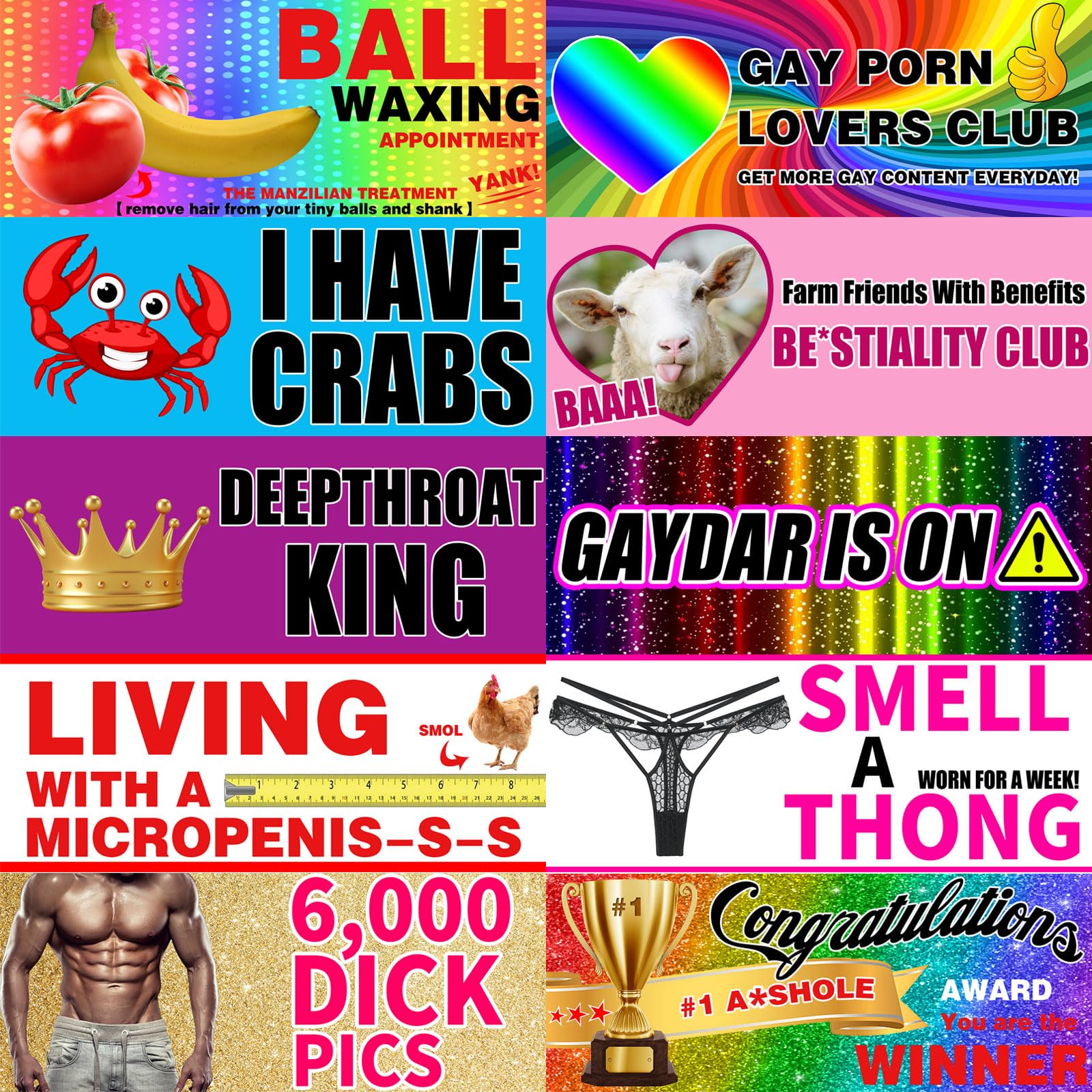 Amazon.com: Prejoy 10 PCS Funny Prank Magnet Bumper Sticker, Rainbow ...