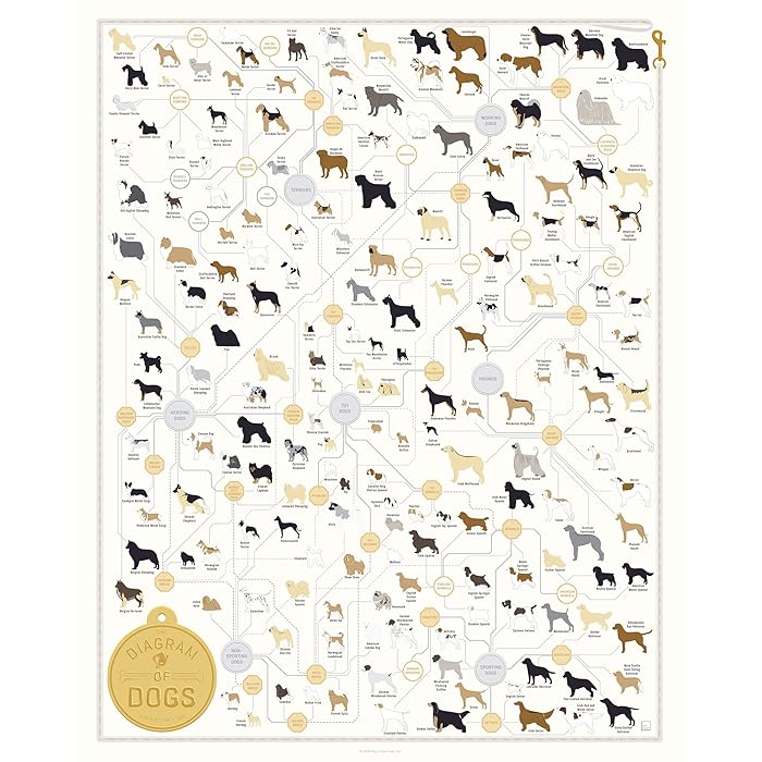Buy Pop Chart | The Diagram of Dogs | 16" x 20" Art Poster ...