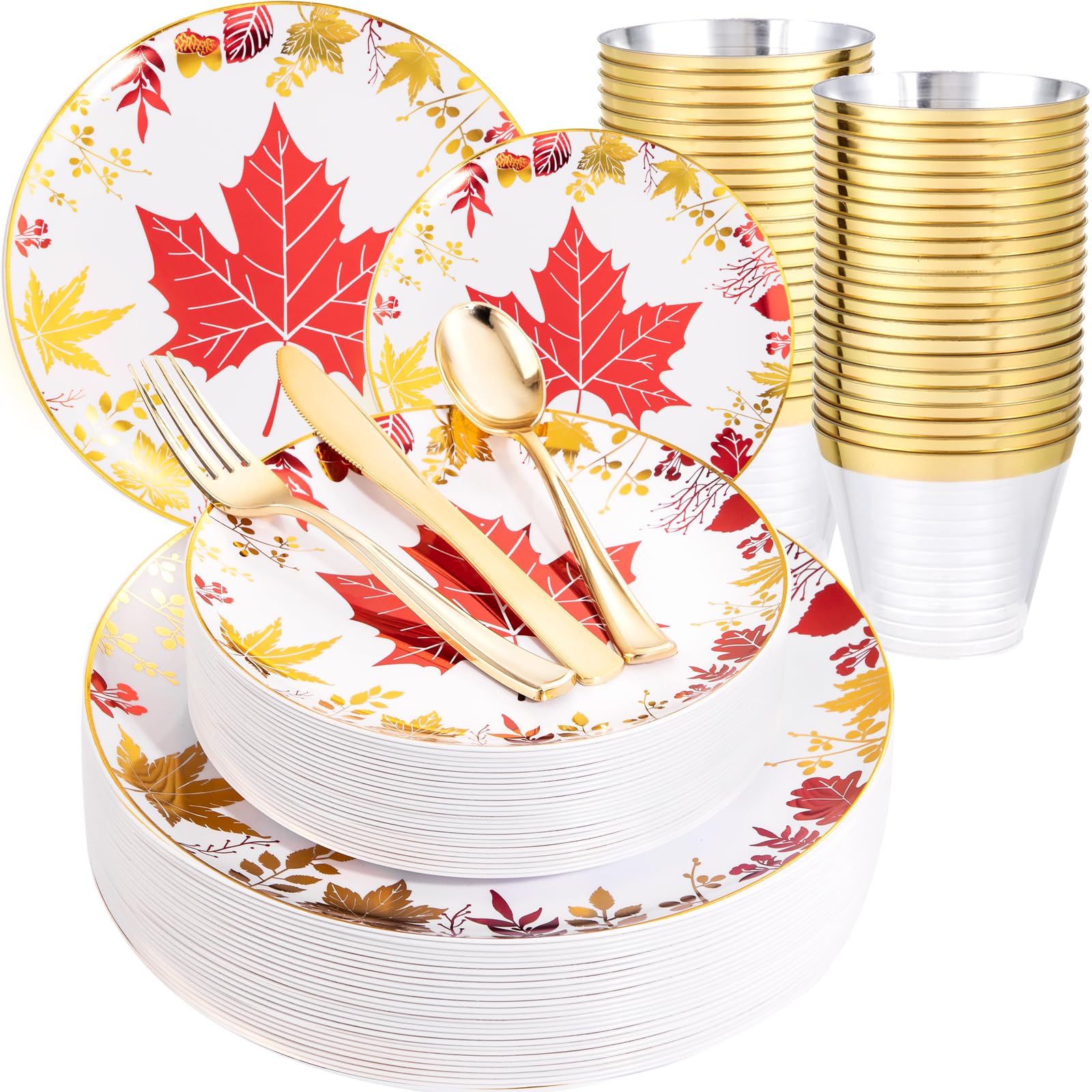 Plastic Thanksgiving Plates