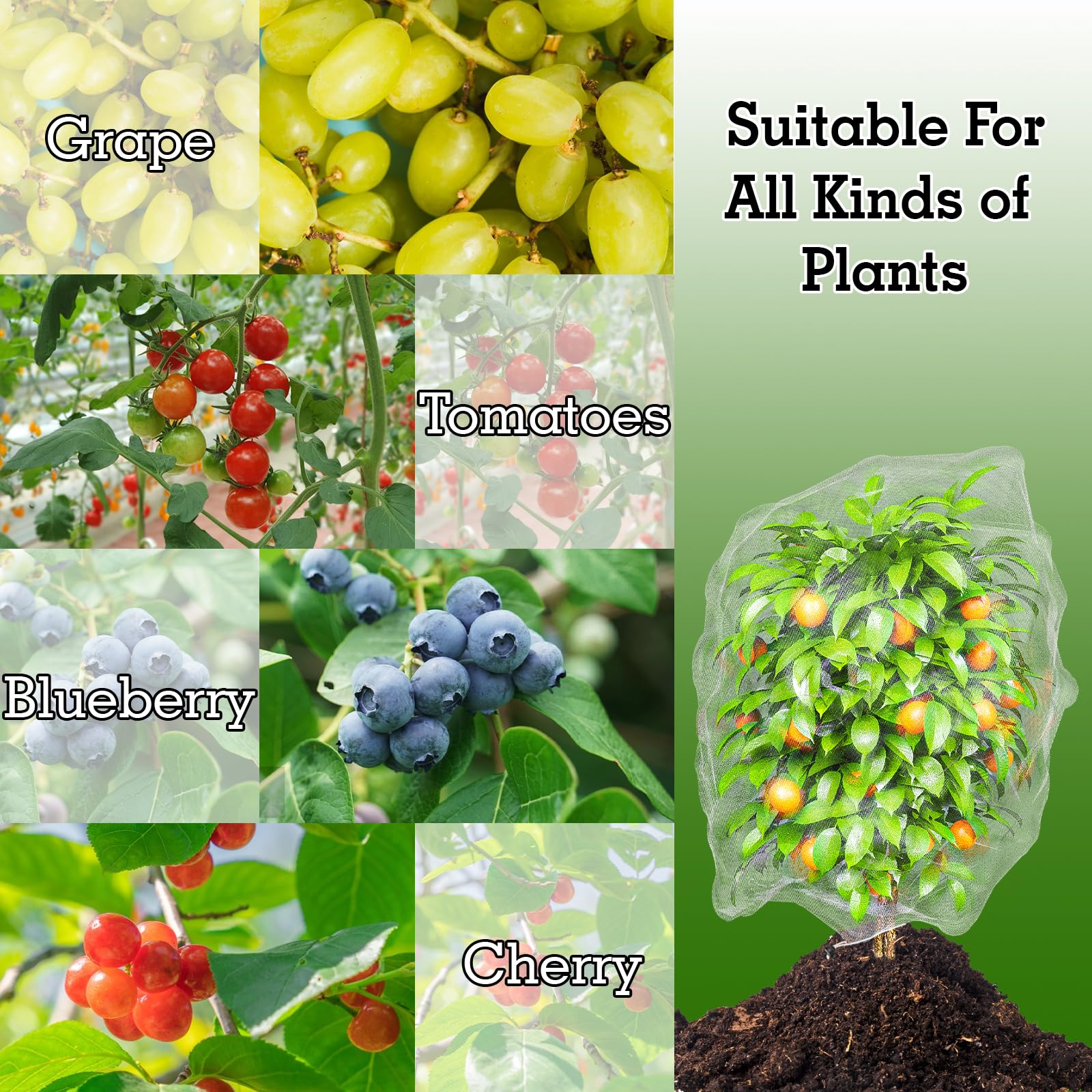 Snapklik.com : 2 Pack Garden Mesh Netting For Plants Fruits Blueberry ...
