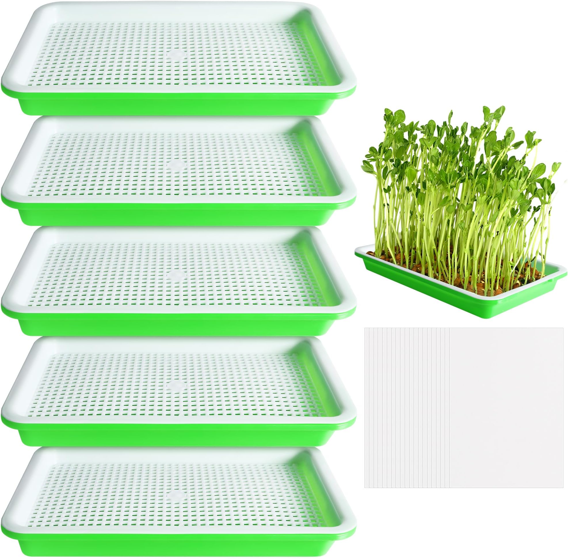 Amazon.com : EBaokuup 10Pcs Seed Sprouter Tray with Drain Holes - BPA ...