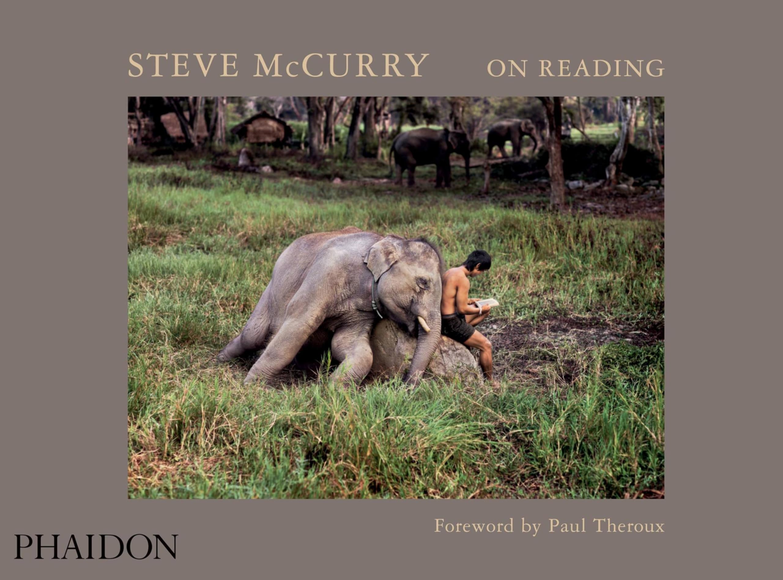 Buy Steve McCurry: On Reading Book Online at Low Prices in India ...
