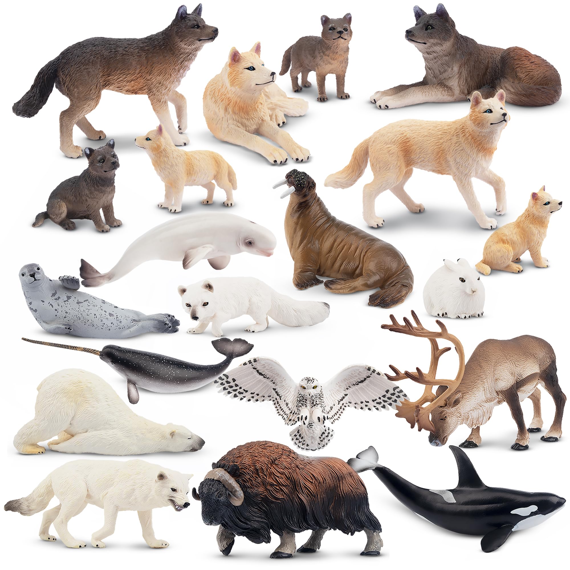 Amazon.com: Toymany 20PCS Polar Animals Figurines and Wolf Figures ...