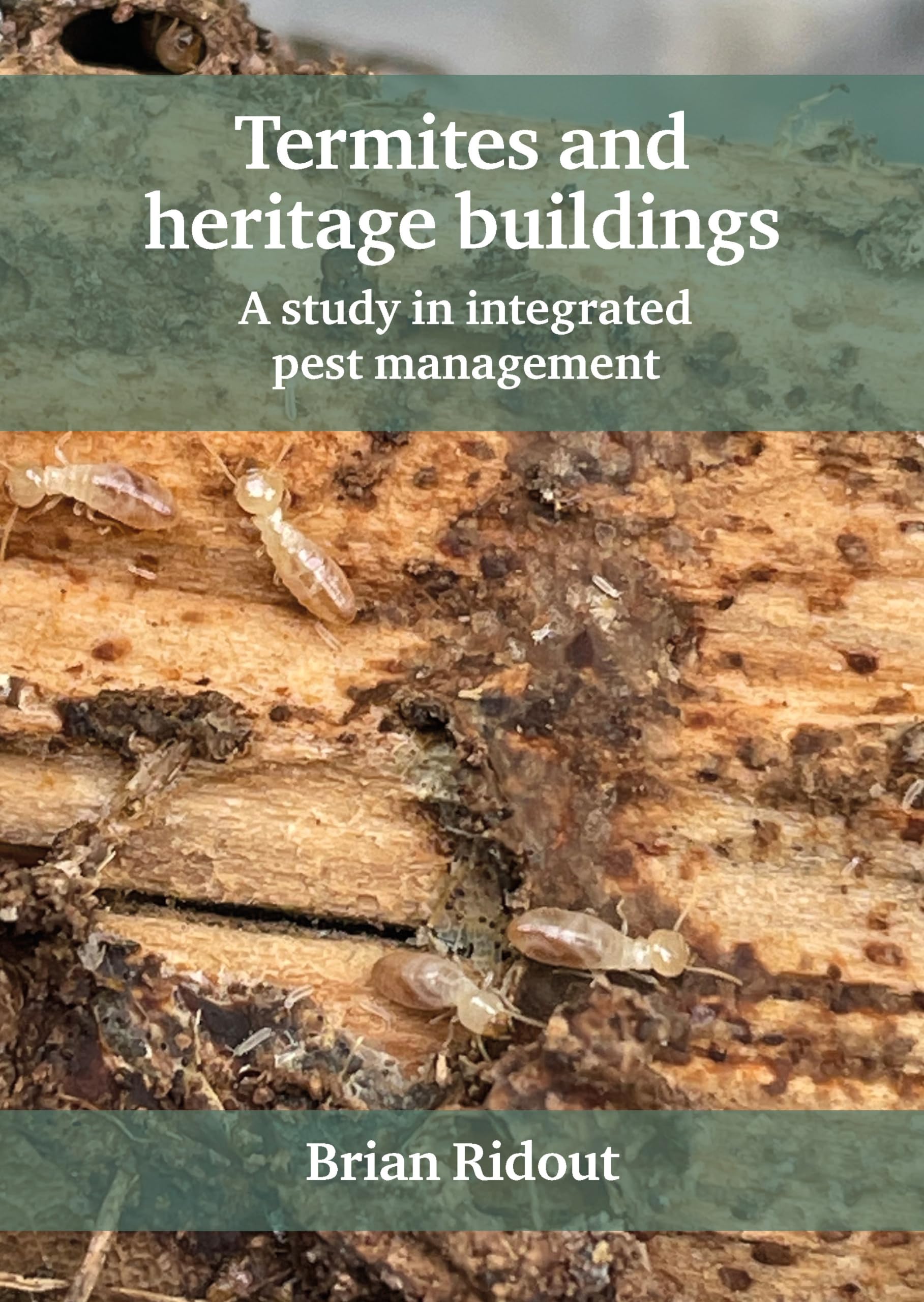 Termites and heritage buildings: A study in integrated pest management ...