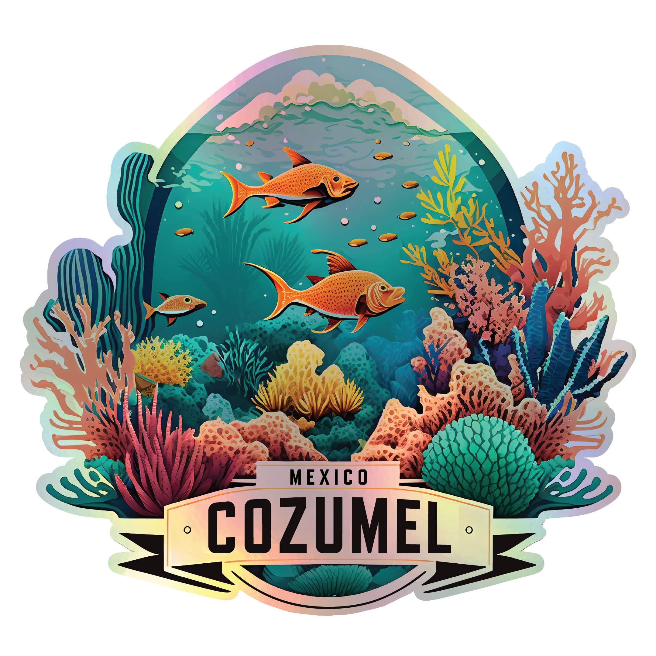 Amazon.com: Cozumel Mexico Holographic Souvenir Vinyl Decal Sticker 4 ...