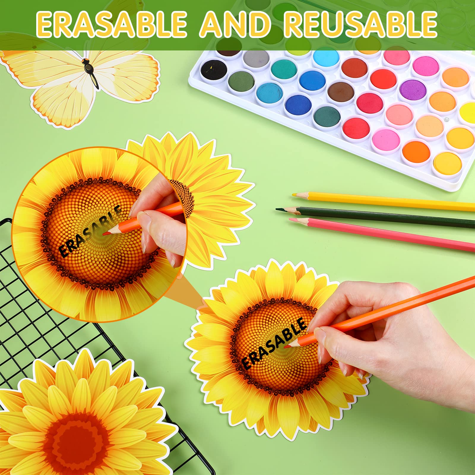 August Sunflower Spring Summer Bulletin Board Decorations