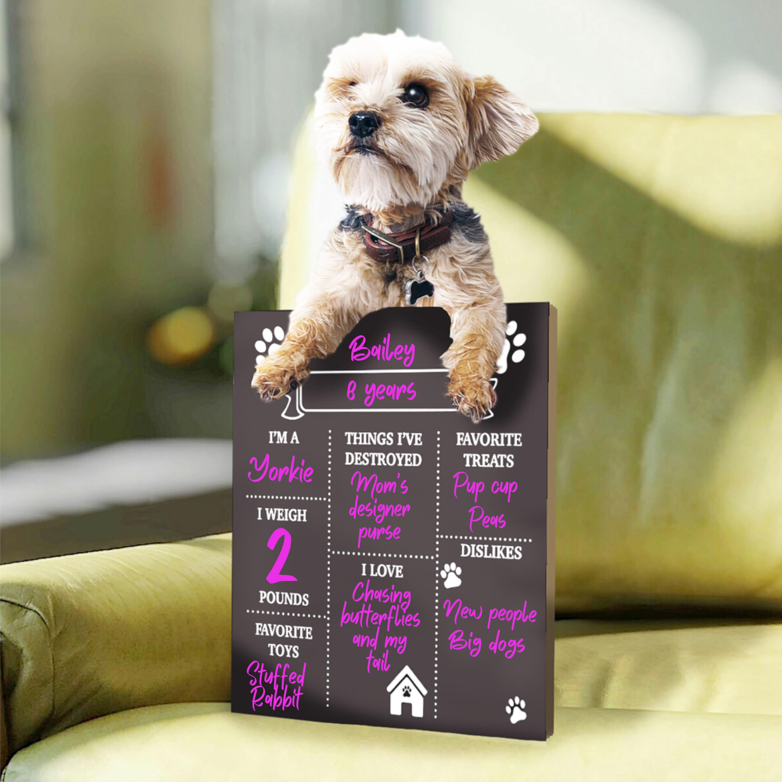 Dog Chalkboard Sign All You Need Is Love And A Dog Sign, I Love Dogs,
