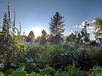 Amazon.com : Gardener's Supply Company Hi-Rise Lifetime Sprinkler (60 ...