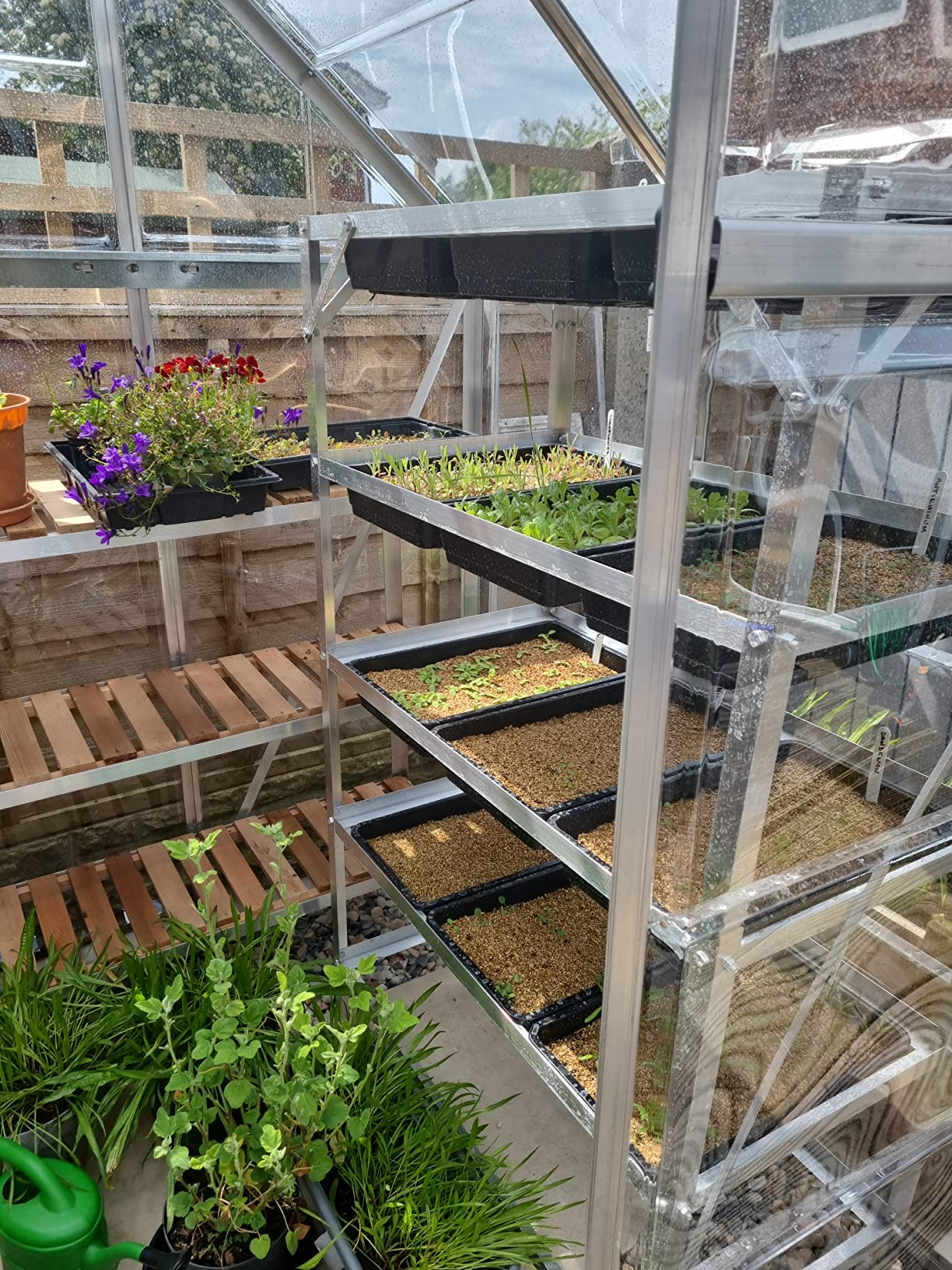 Tibshelf Garden Products Ltd 5 Tier Seed Tray Unit : Amazon.co.uk: Garden