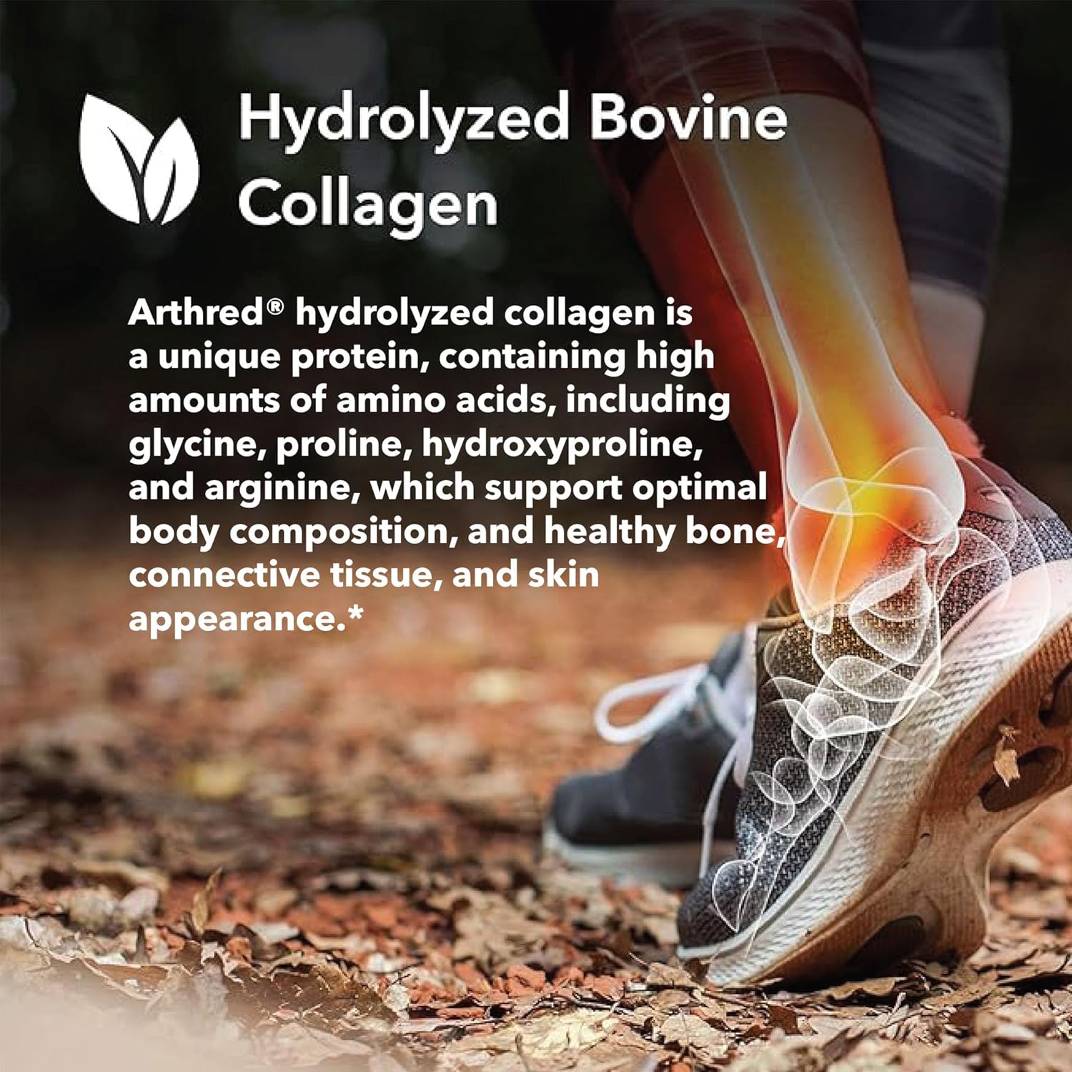 Allergy Research Group Arthred Powder - Collagen Formula for Connective ...