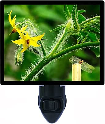 Tomato Night Light, Almost Tomatoes, Flower and Garden LED Night Light ...