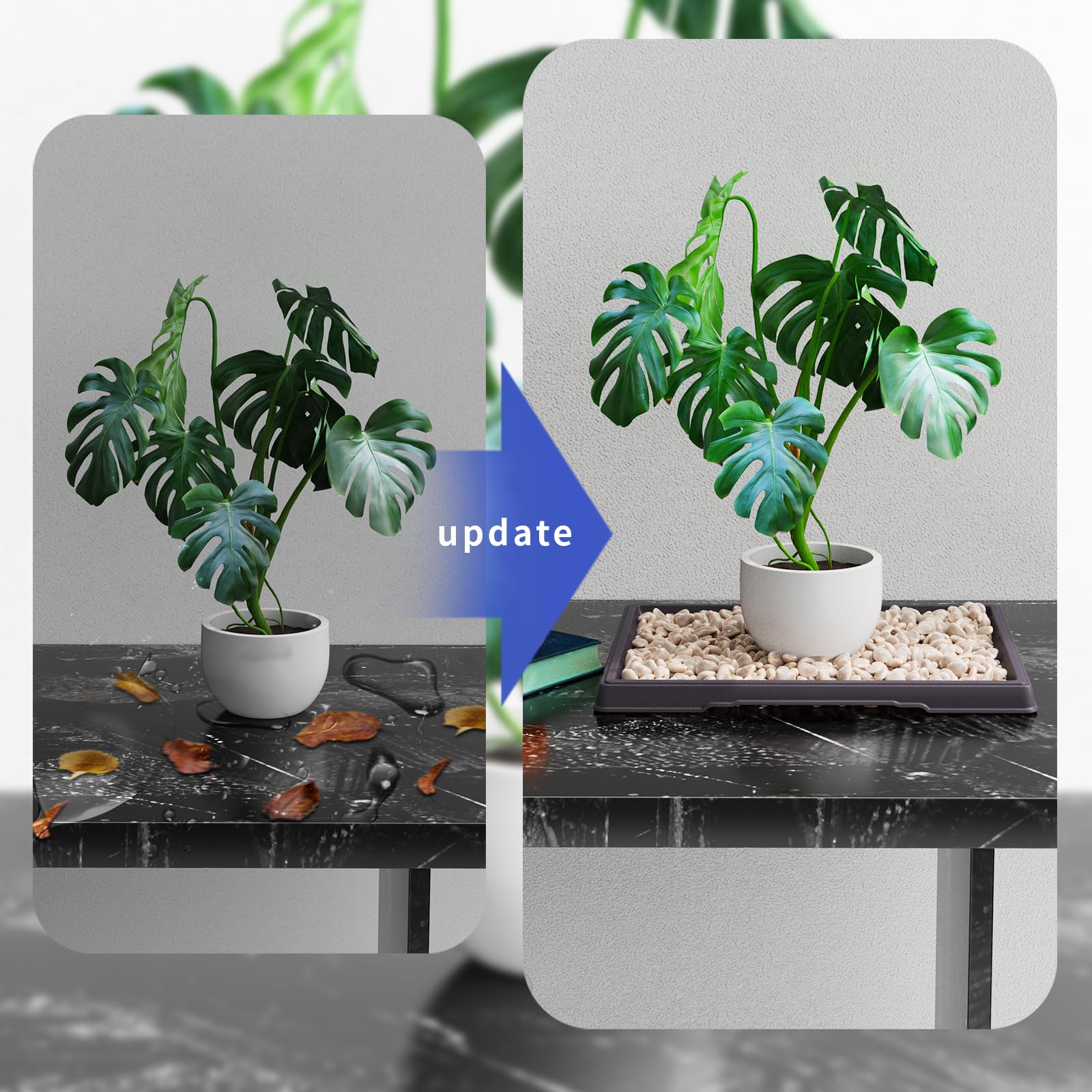 Snapklik.com : WAYNHUI Plant Saucer 3PACK Bonsai Humidity Tray Drip ...