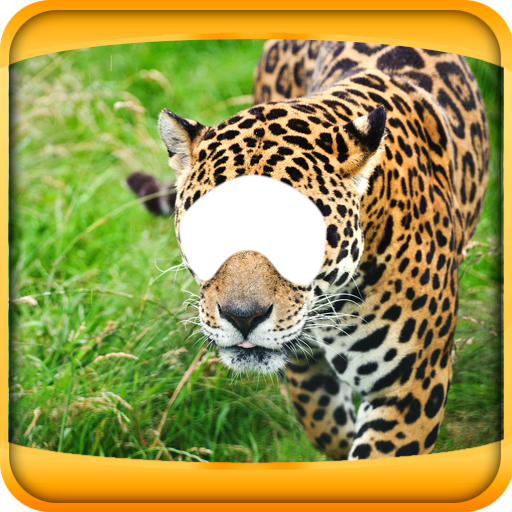 Animal Photo Montage Editor - App on Amazon Appstore