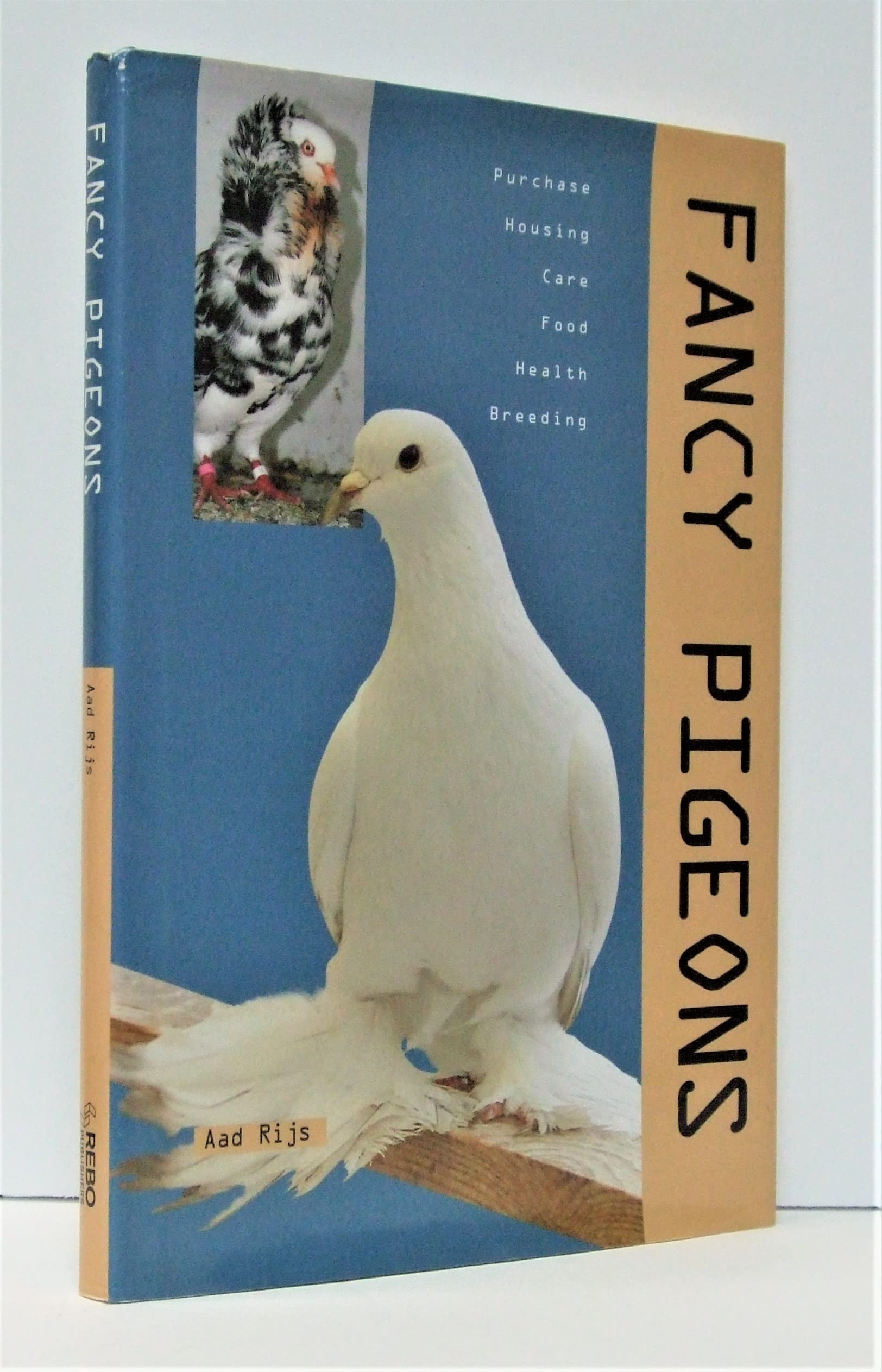 Fancy Pigeons