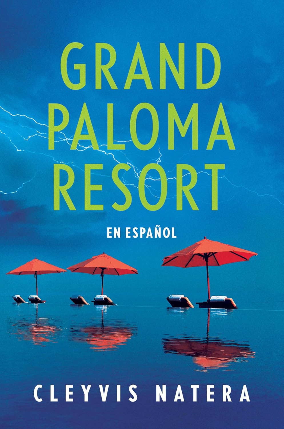 Grand Paloma Resort (Spanish Edition): Natera, Cleyvis, Morillo, Erika ...