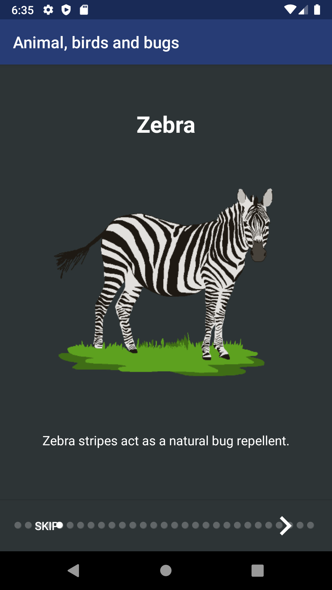 Animals, Birds and Bugs Introduction | Spelling sound and vocabulary of ...