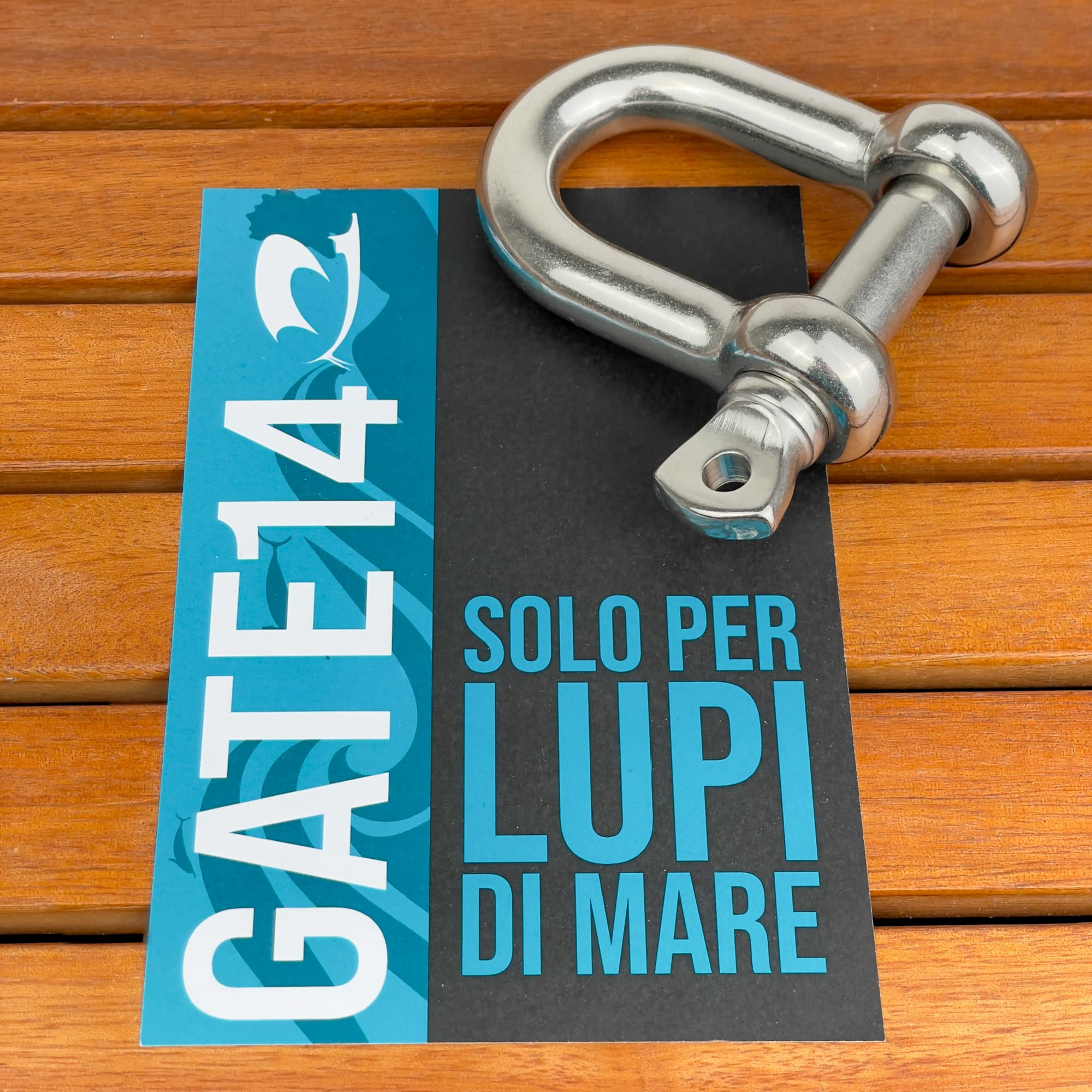 GATE14 Stainless Steel Shackle with Removable Screw Pin, D Shape, 16 mm ...