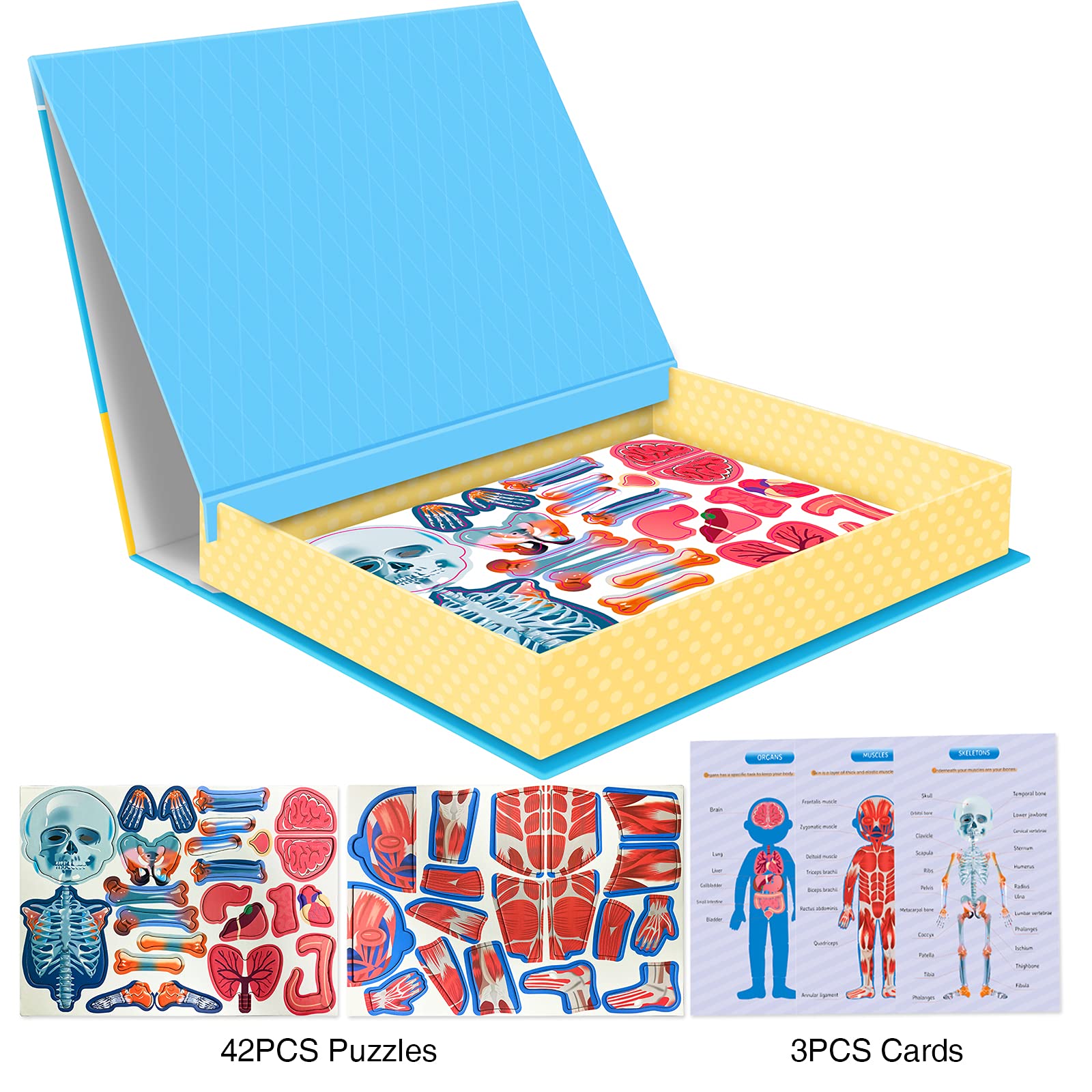 Buy Human Body Puzzle 42 Pieces Magnetic Anatomy Puzzle For Kids buy-human-body-puzzle-42-pieces-magnetic-anatomy-puzzle-for-kids