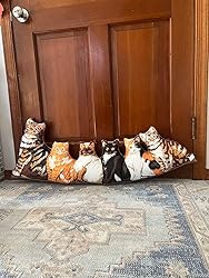 Amazon.com: Cat Draft Block, Energy Efficient Decorative Door Draft ...