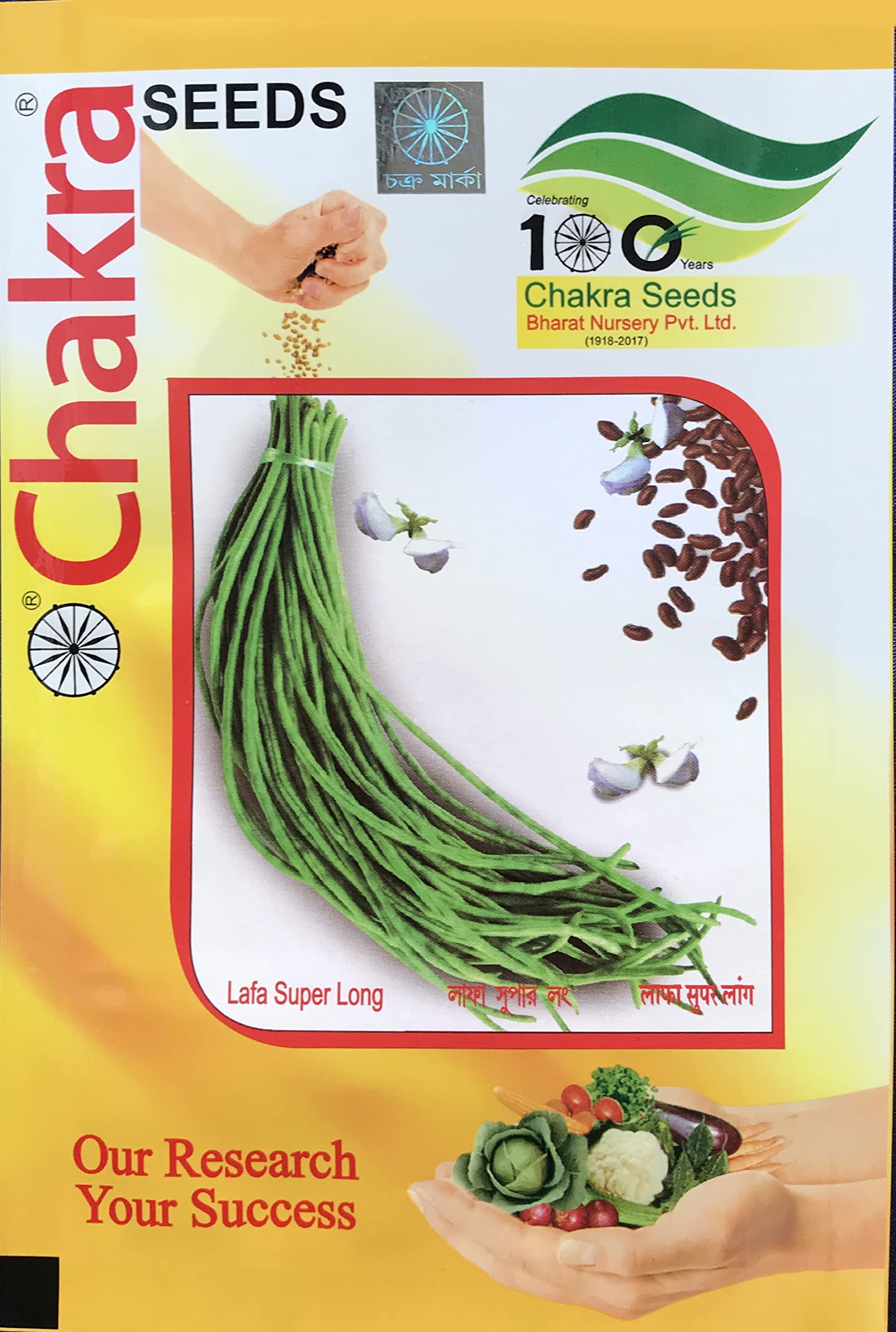 CHAKRA SEED Yard Long Bean Lafa Improved seed high variety 100gm (Lafa ...