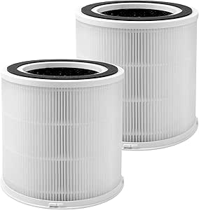 Amazon.com: GoodtoU AP301 True HEPA Filter Replacement for Dayette and JOWSET AP301 AP302 AP303 ...