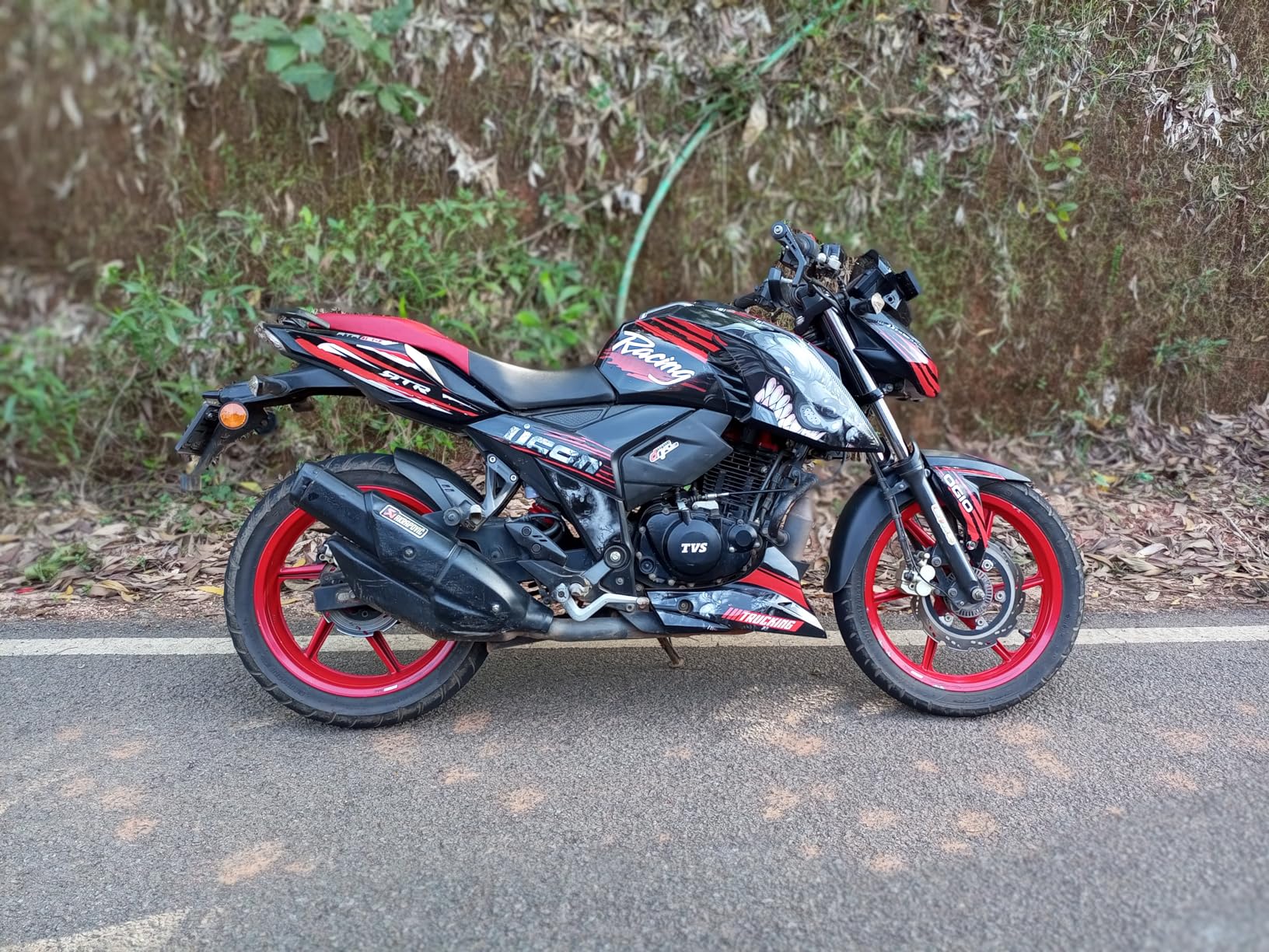 SUNSIGN Sticker TVS Apache RTR200 Wolf Sticker : Amazon.in: Car & Motorbike