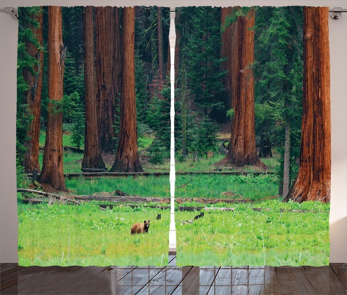Amazon.com: National Parks Home Decor Curtains Baby Bears on Field in ...
