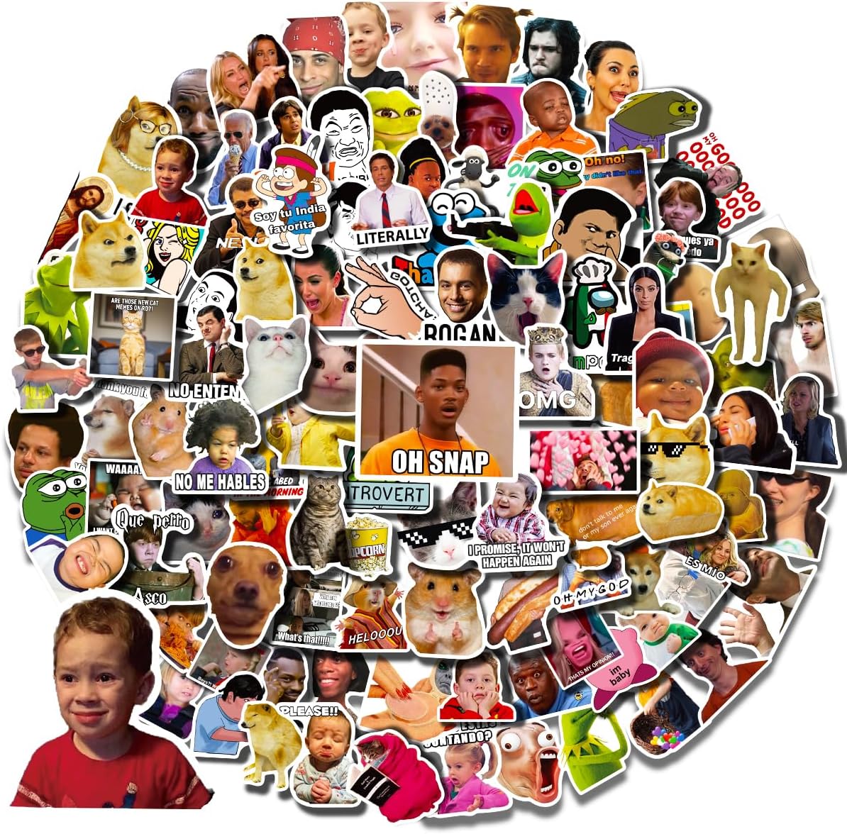 Amazon.com: 50 PC Funny Meme Animal Stickers Bulk Pack TikTok Dog Cat ...