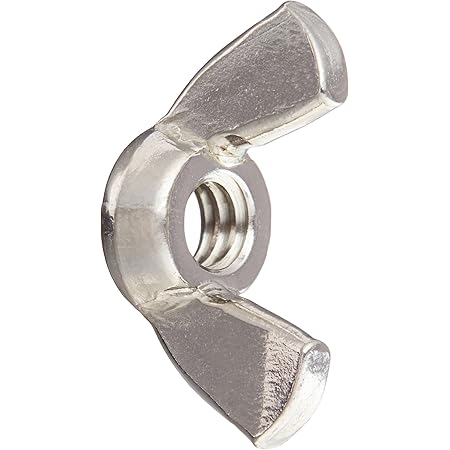 Amazon.com: Pentair 071404Z Wing Nut Replacement Kit Pool and Spa D.E ...