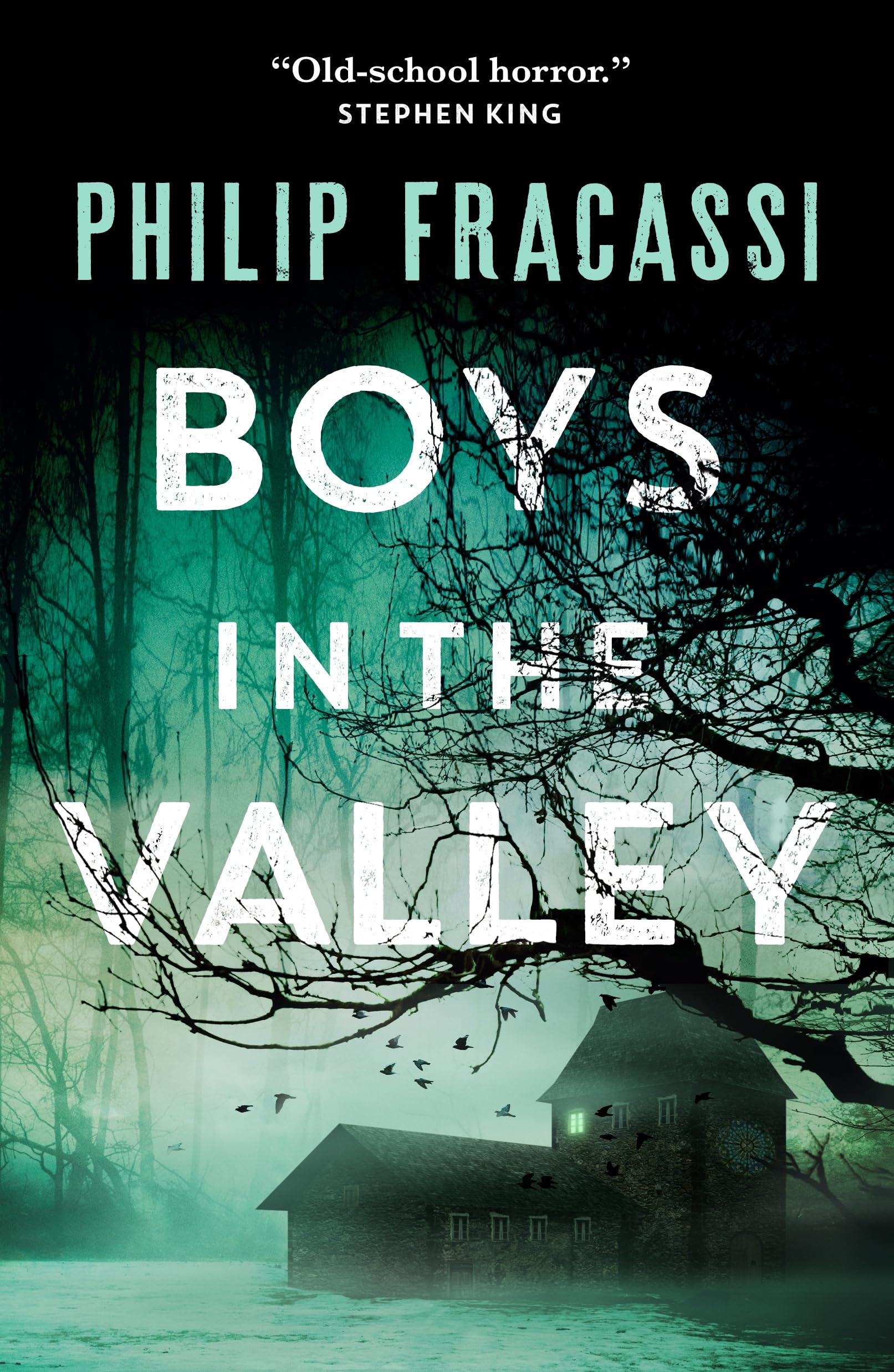 Boys in the Valley: Fracassi, Philip: 9781250879059: Amazon.com: Books