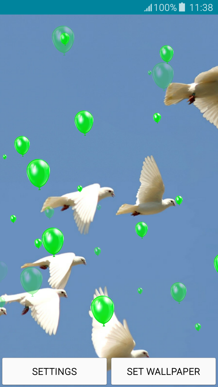 Live Wallpapers – Doves - App on Amazon Appstore