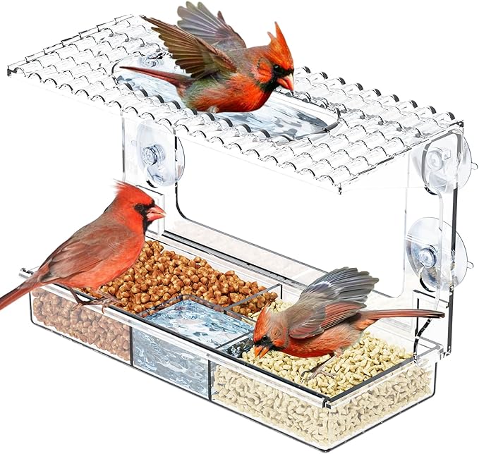Amazon.com : Acrylcc Window Bird Feeders with Strong Suction Cups for ...
