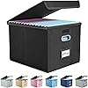Amazon.com: Pendaflex Portable File Box with File Rails, Simple ...