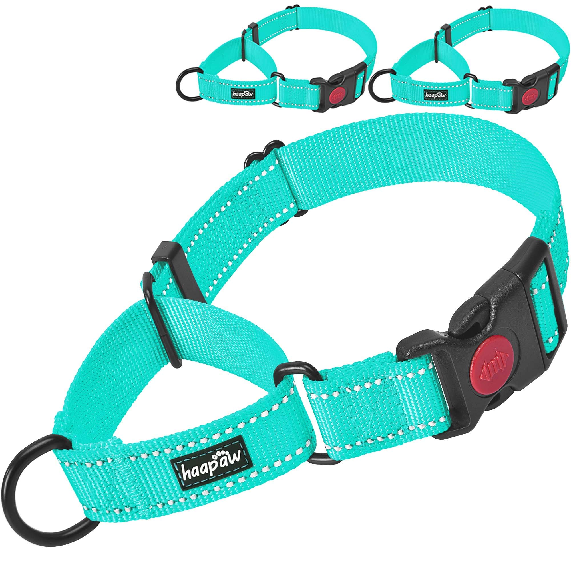 The Hottest Design Haapaw Reflective Dog Collar Padded With Soft