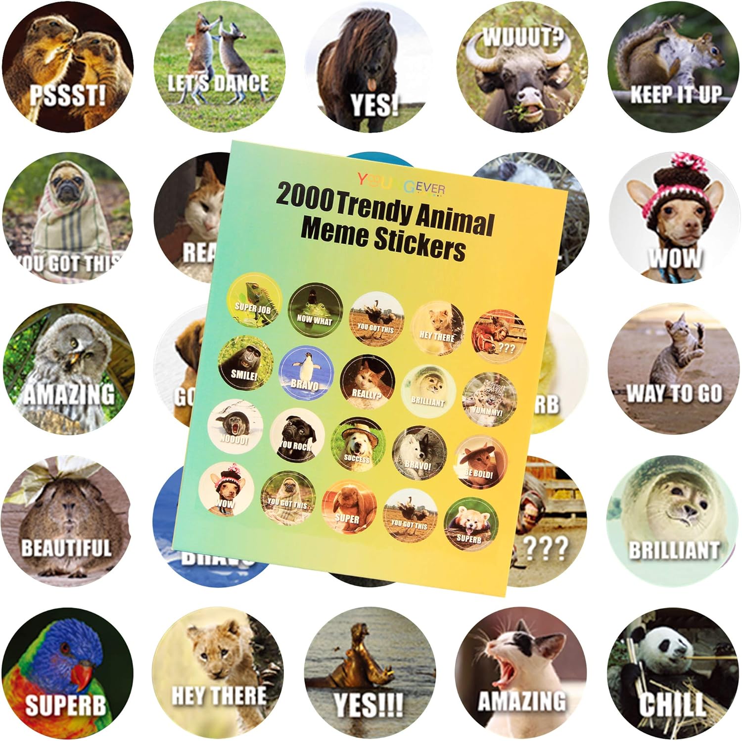 Amazon.com: Youngever 2000 Pack Reward Stickers for Teachers, Animal ...